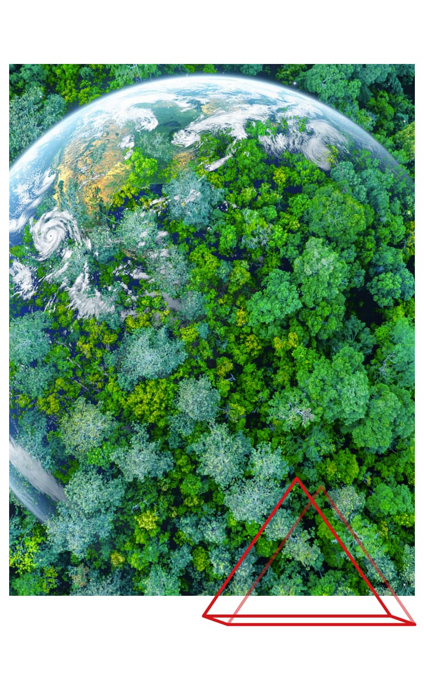 Payments and FX | Business Services | Innovation | Fexco